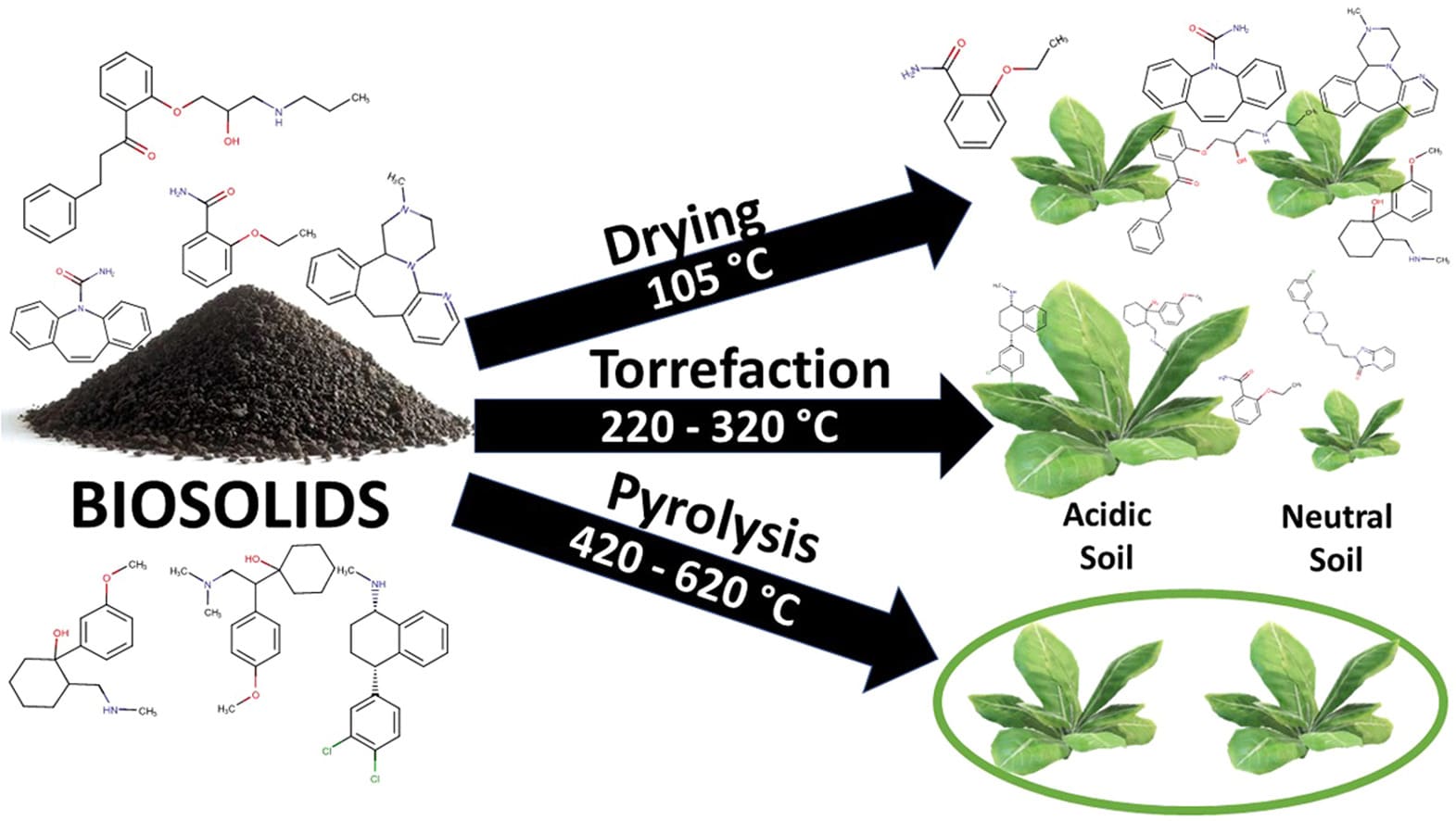 10 Ways for Mitigating Biosolids - Earth and Human